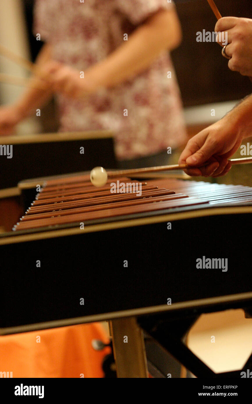 Xylophone - Close-up of percussionist playing the xylophone Stock Photo ...