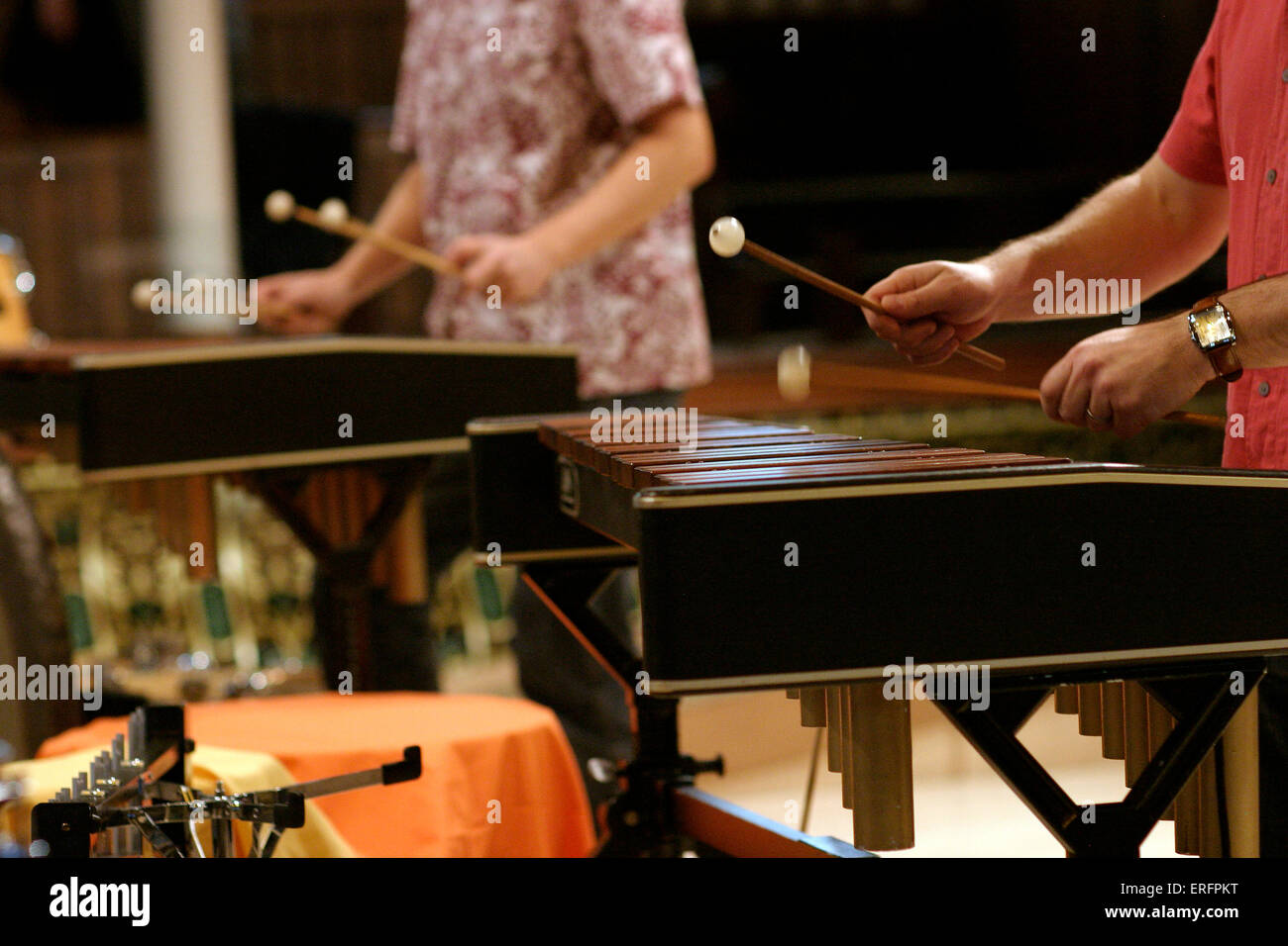 Xylophone - Close-up of percussionist playing the xylophone Stock Photo ...