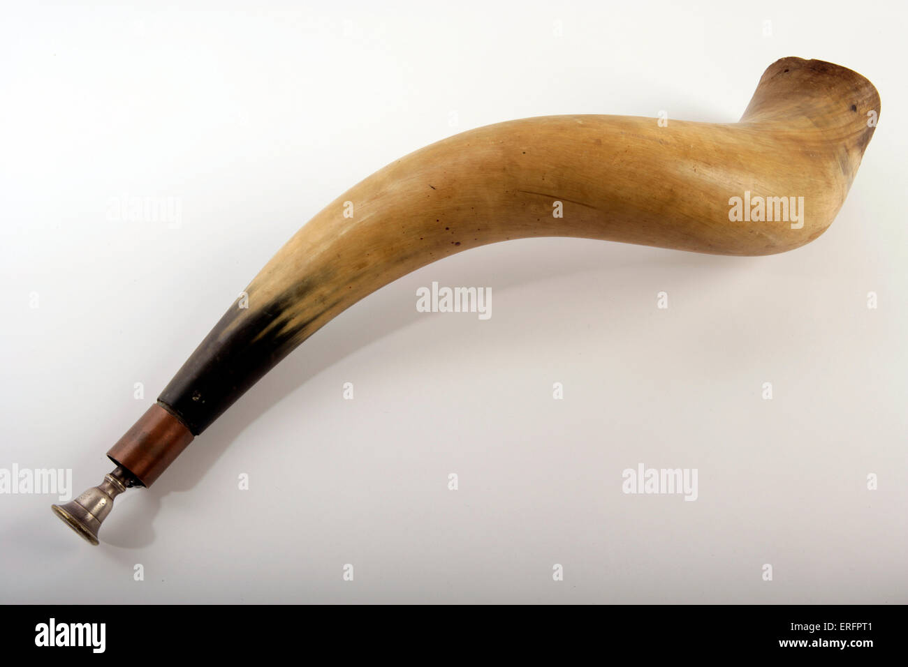 Cow horn or steer horn - as used in Britten's Spring Symphony, made ...