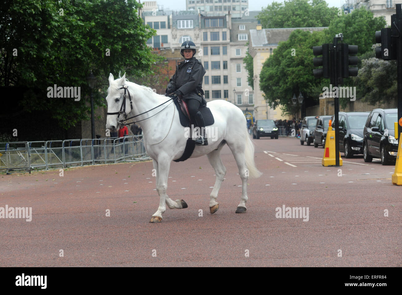 London, UK, 2 June 2015, Metropolitan police mounted branch London in ...