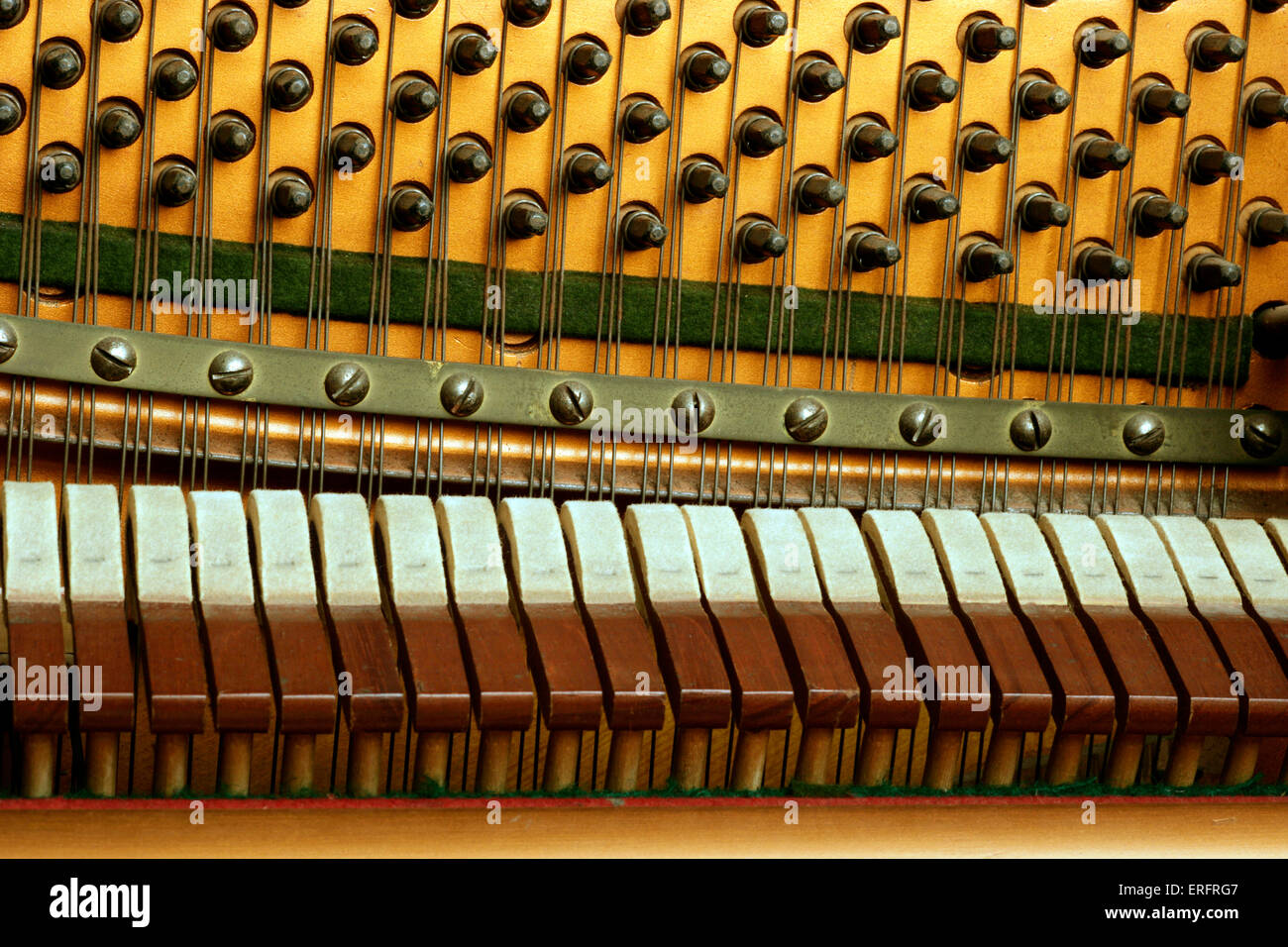 Interior of a piano - showing the strings, hammers and pins or pegs ...