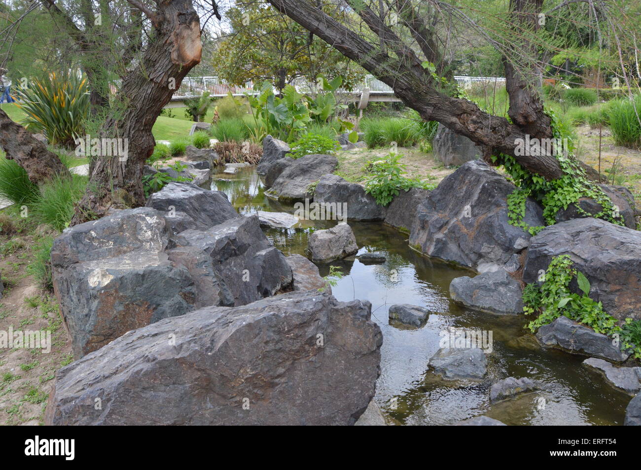 A brook surrounded by rocks and trees Stock Photo - Alamy