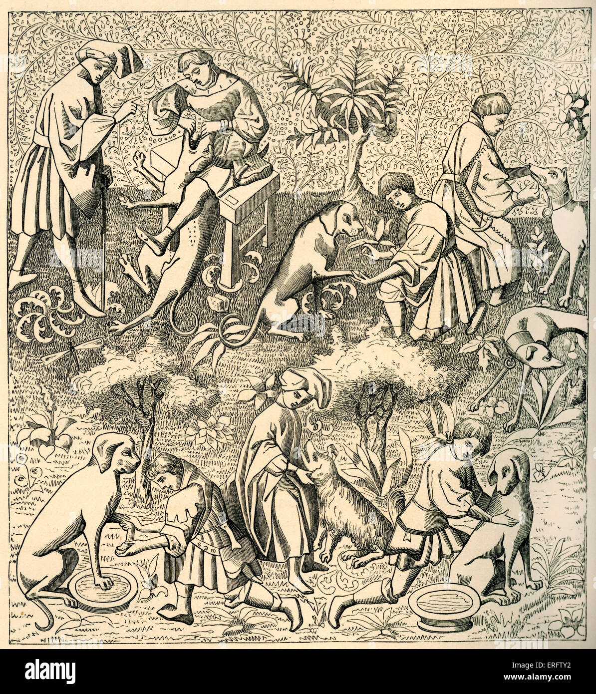 Medieval care of dogs, including bathing, brushing, mouth cleaning and ...