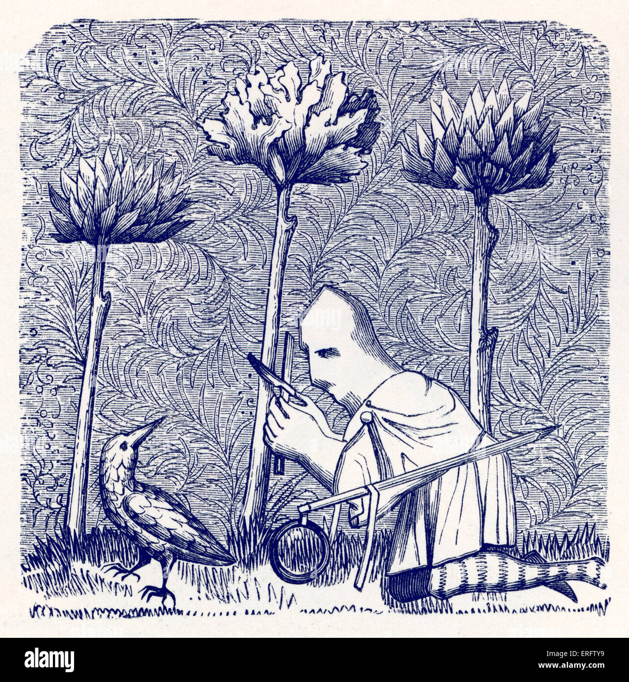 Medieval bird illustrations hi-res stock photography and images - Alamy