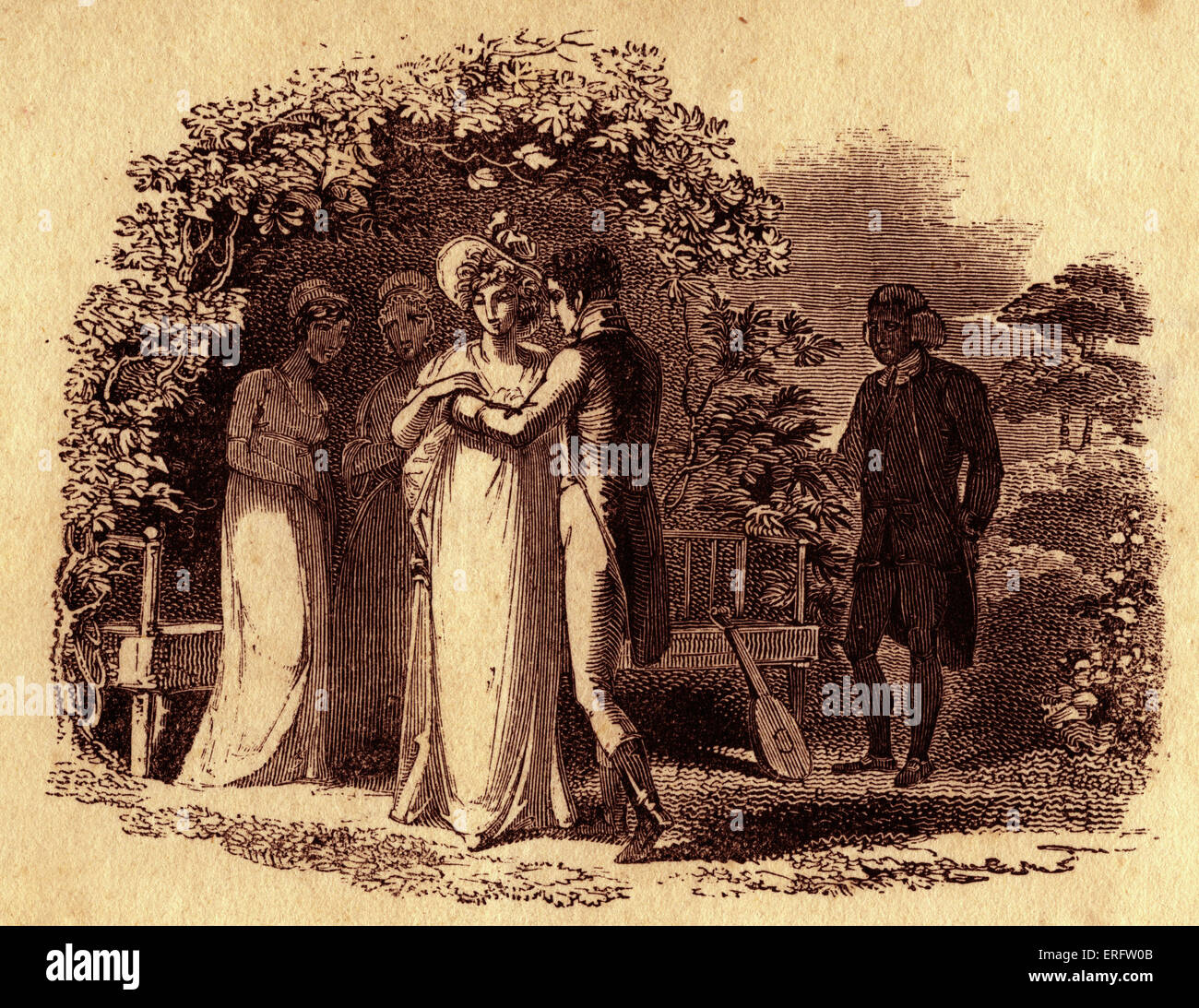 Primrose family hi-res stock photography and images - Alamy