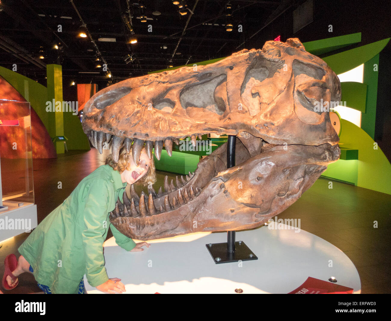 Family Fun in Montreal, Quebec, Canada. Redpath Museum Stock Photo - Alamy