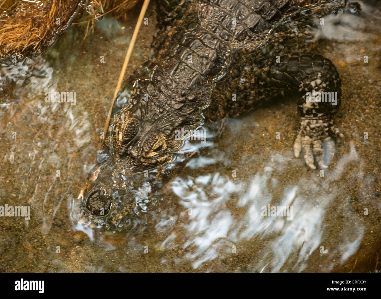 Family Fun in Montreal, Quebec, Canada. Biosphere Museum. Close up of ...