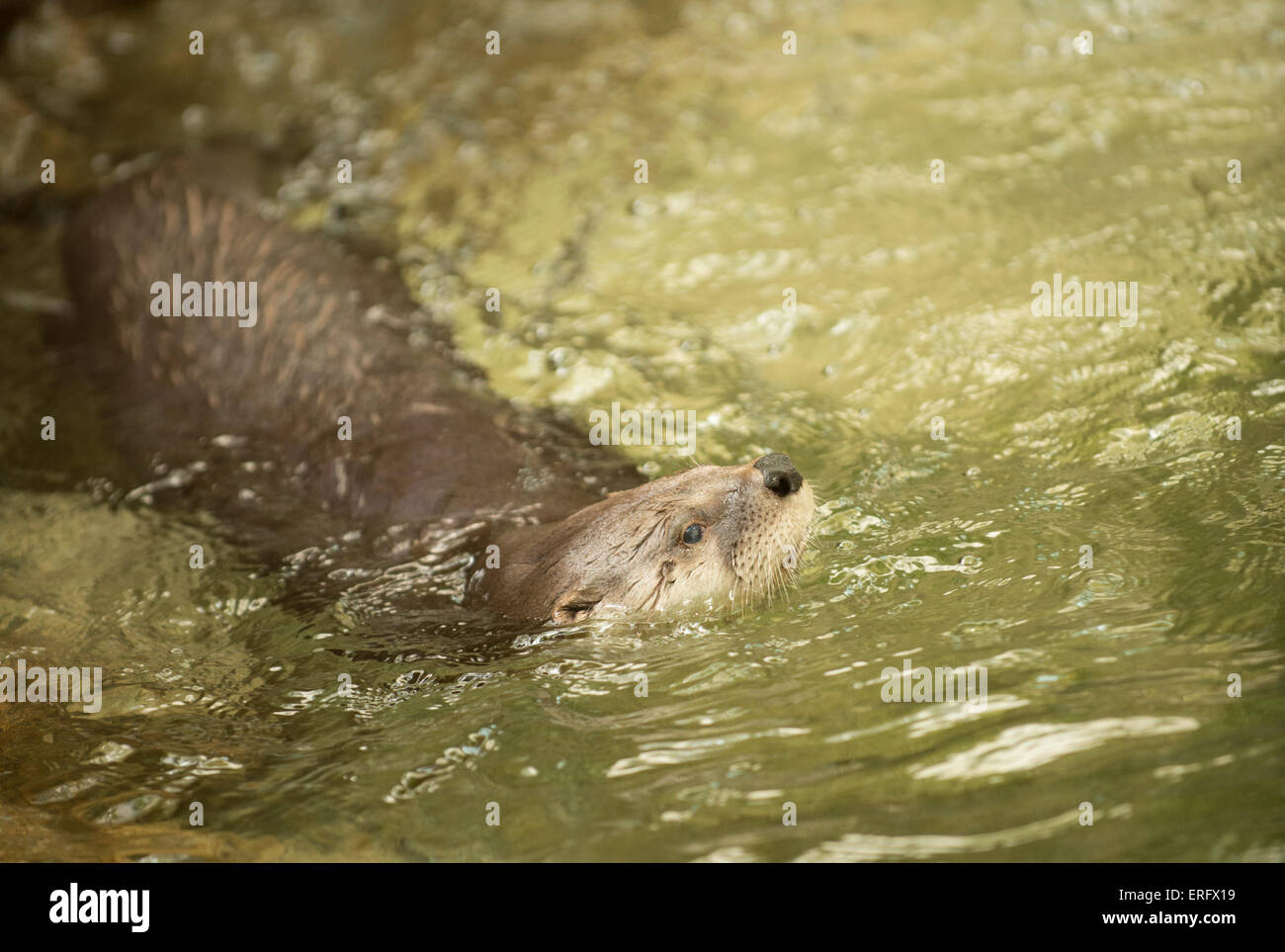 Family Fun in Montreal, Quebec, Canada. Biosphere Museum. Close up of ...