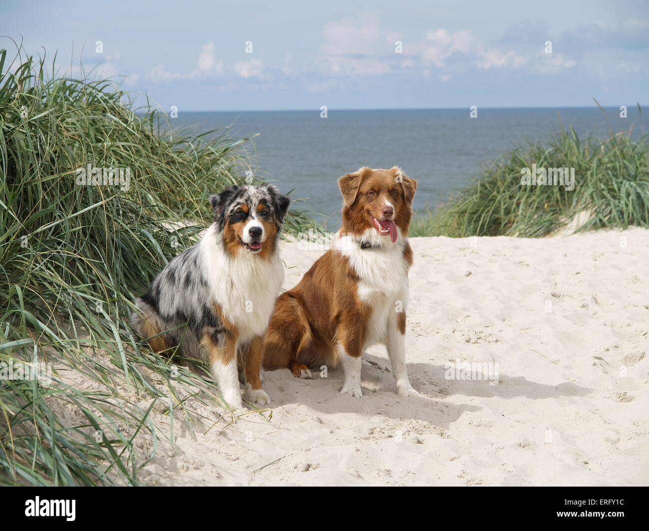 Two shepherds sit hi-res stock photography and images - Alamy