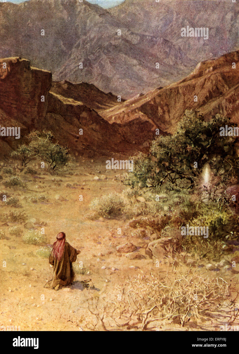 Moses and the Burning bush. Exodus 3 : 2-3. ' And the angel of the LORD ...