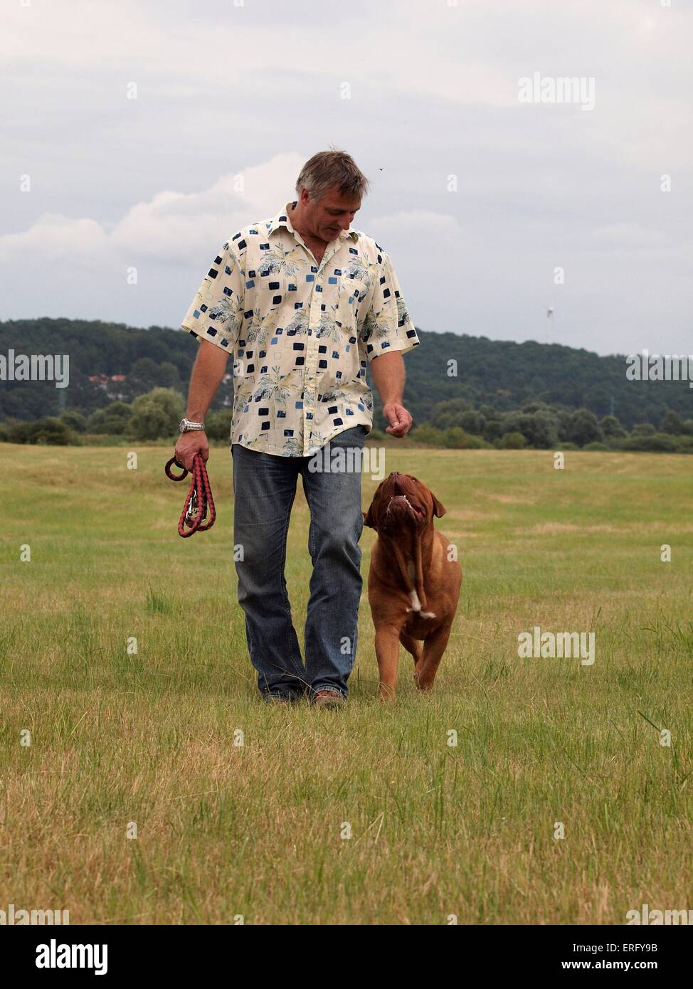 Man goes for a walk with his dog hi-res stock photography and images ...