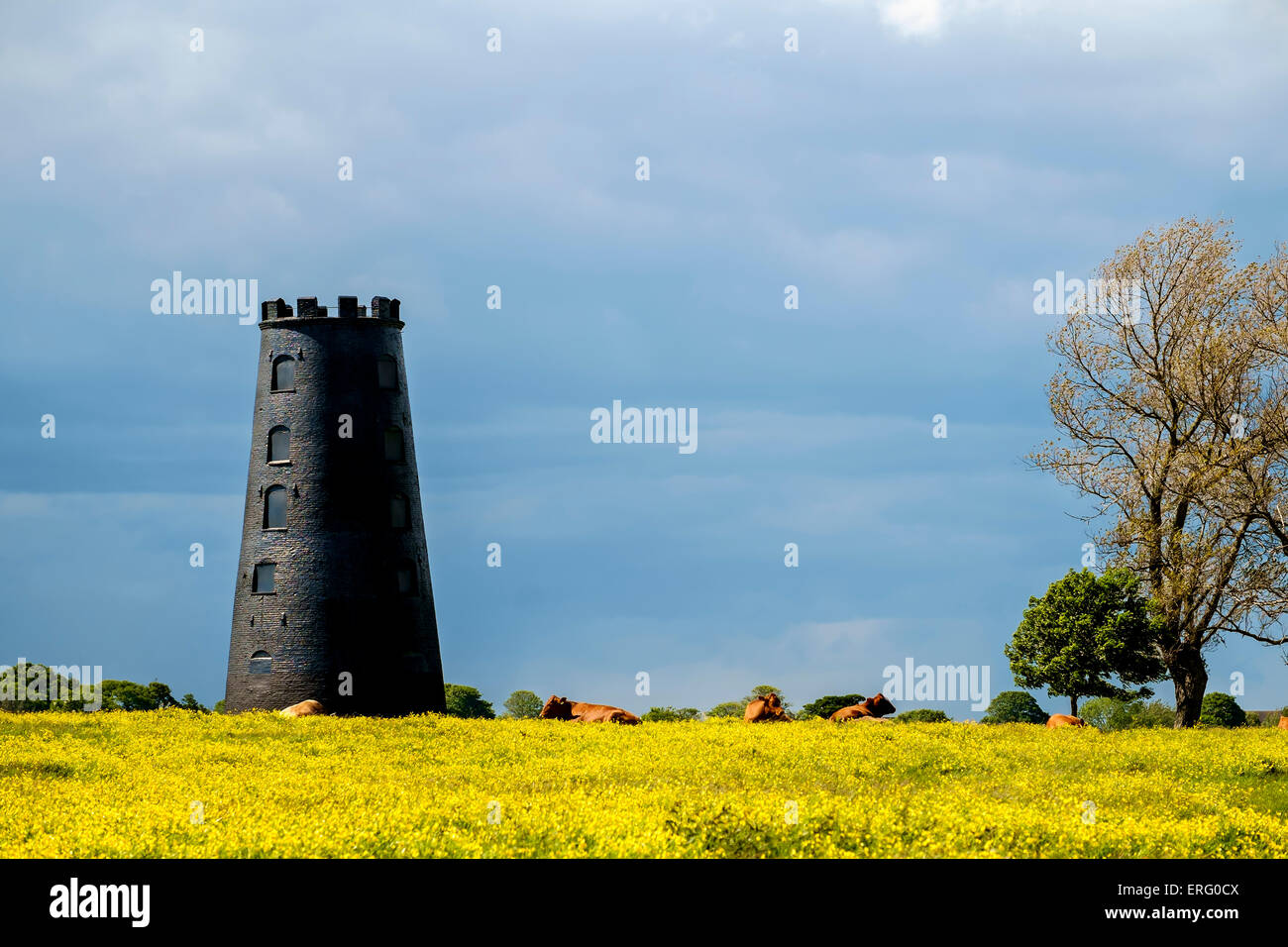 Beverley common hi-res stock photography and images - Alamy