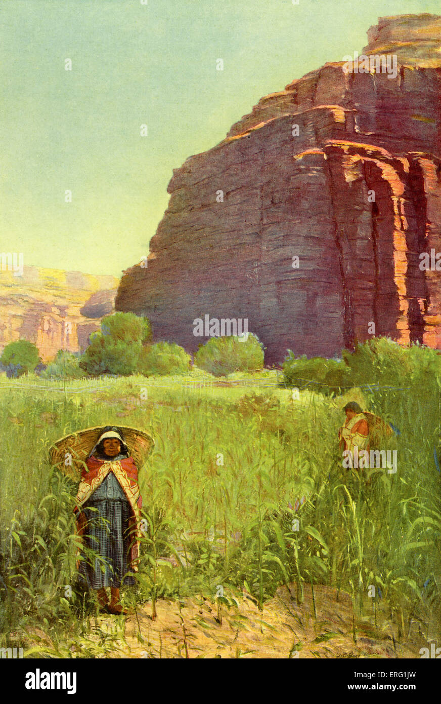 A Supai Cornfield - Cataract Canyon, Arizona. A Native American woman ...