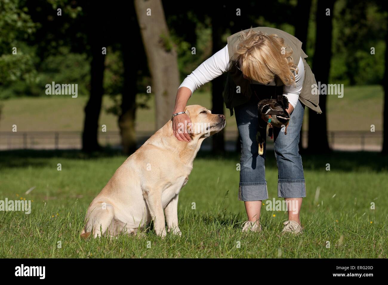 woman and Labrador Retriever Stock Photo - Alamy