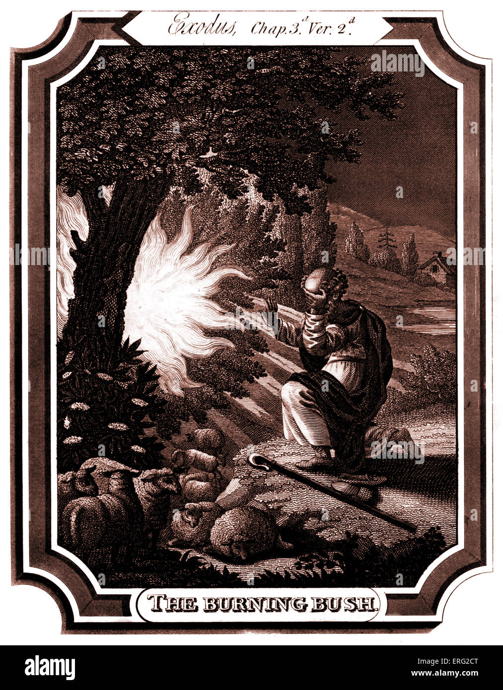The burning bush. Moses witnesses the miracle while tending a flock of ...