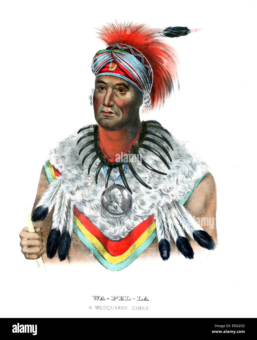 King of foxes Cut Out Stock Images & Pictures - Alamy