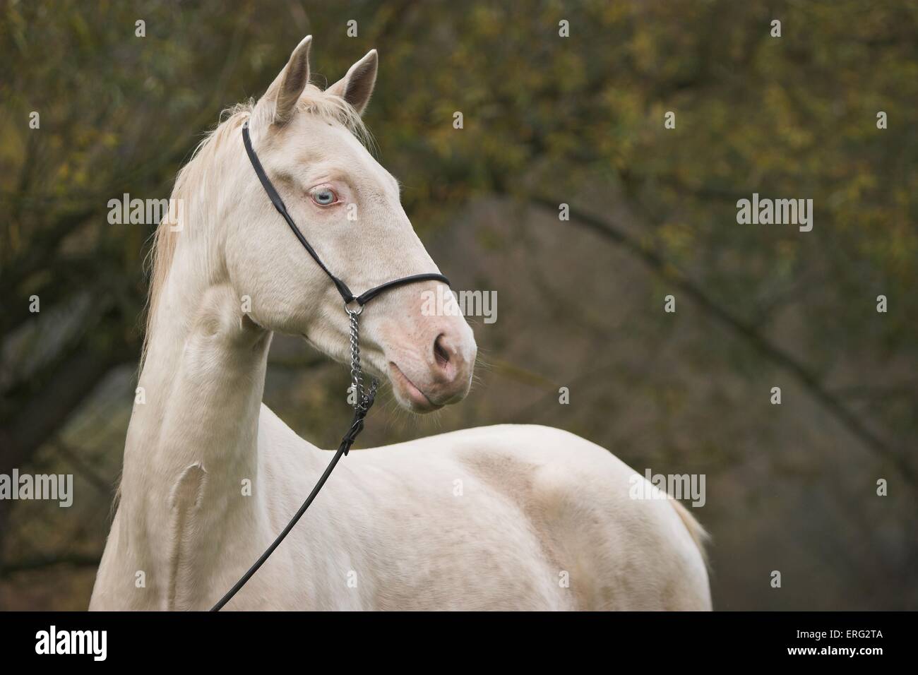 Teke teke hi-res stock photography and images - Alamy