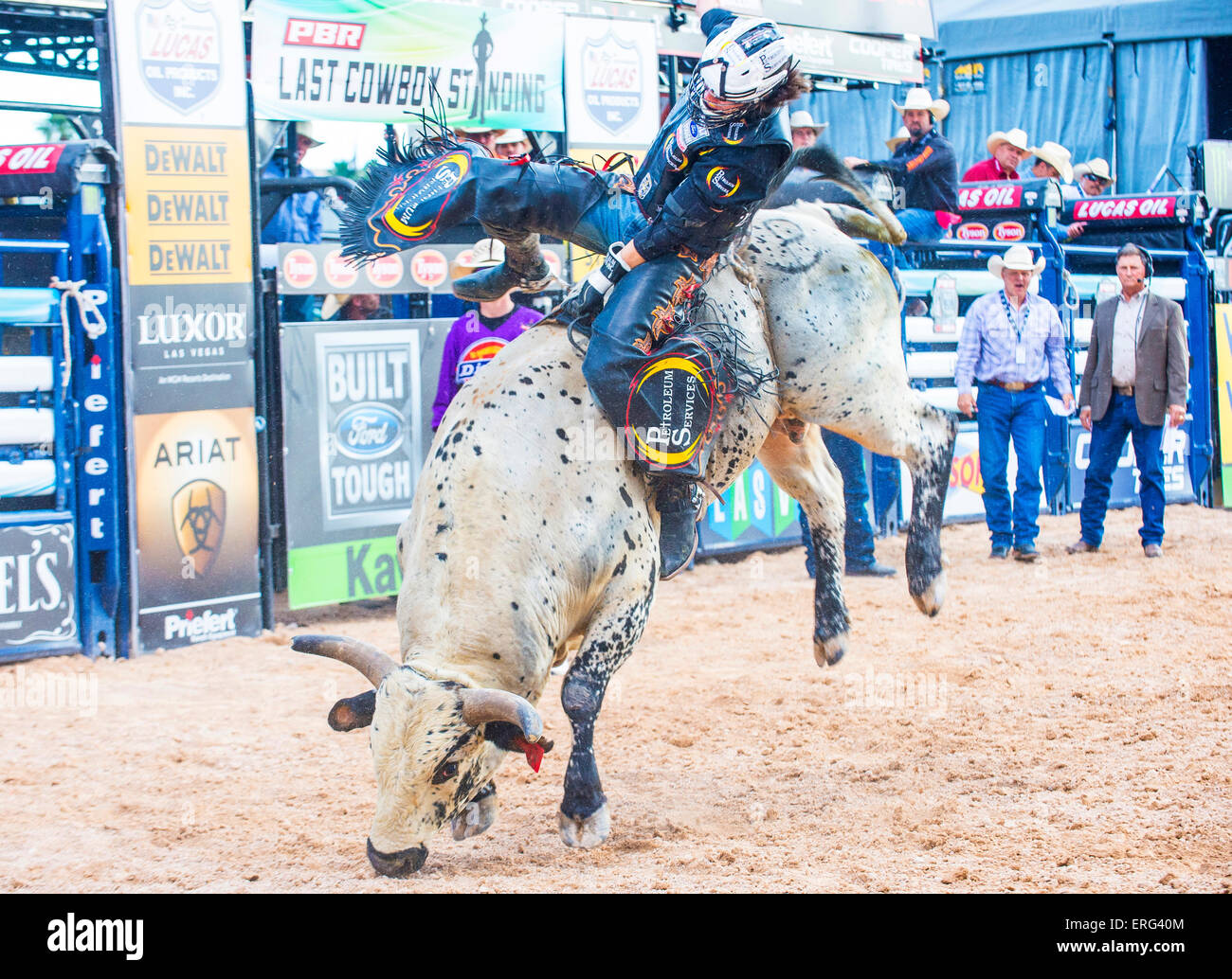 Cowboy Participating in a Bull riding Competition at the Last Cowboy ...