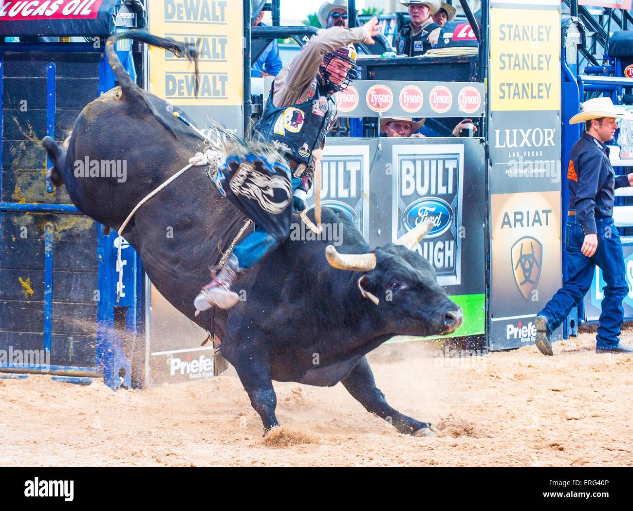 Cowboy Participating in a Bull riding Competition at the Last Cowboy ...