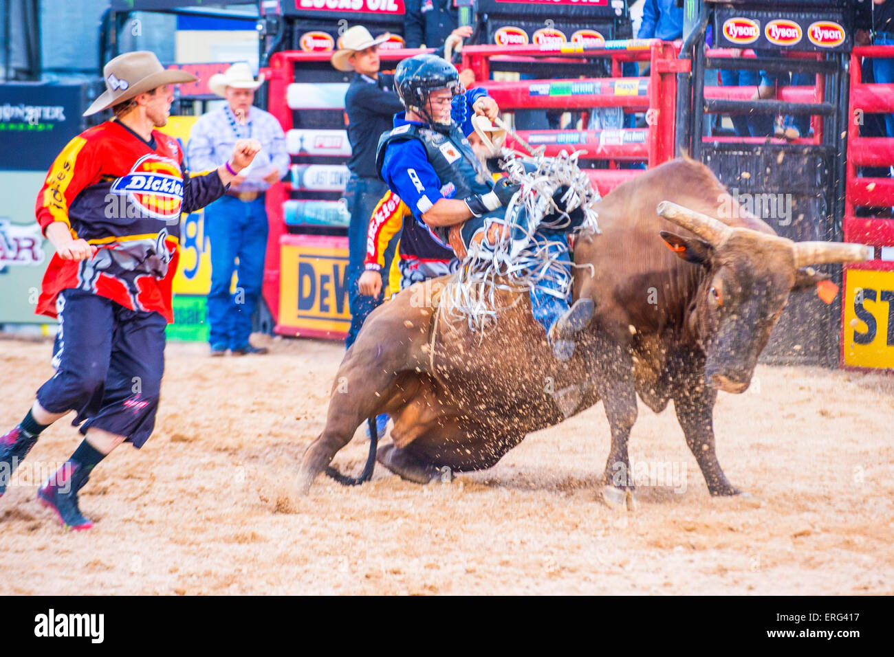 Cowboy Participating in a Bull riding Competition at the Last Cowboy ...