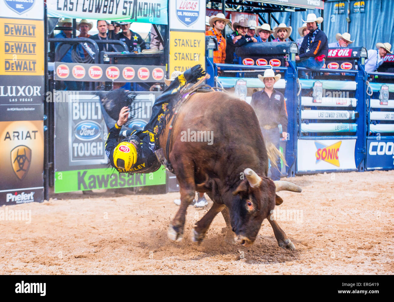 Cowboy Participating in a Bull riding Competition at the Last Cowboy ...