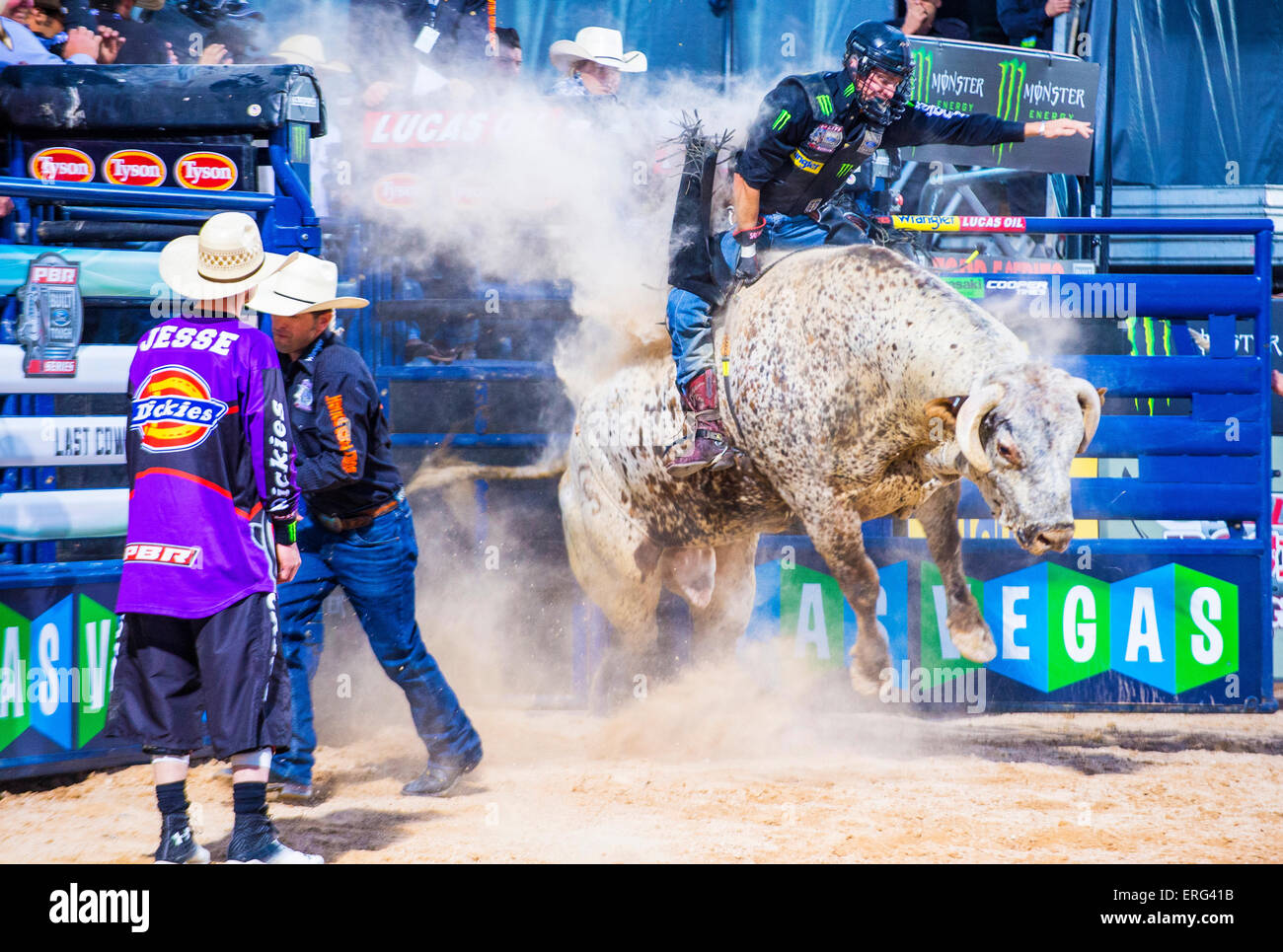 Cowboy Participating in a Bull riding Competition at the Last Cowboy ...