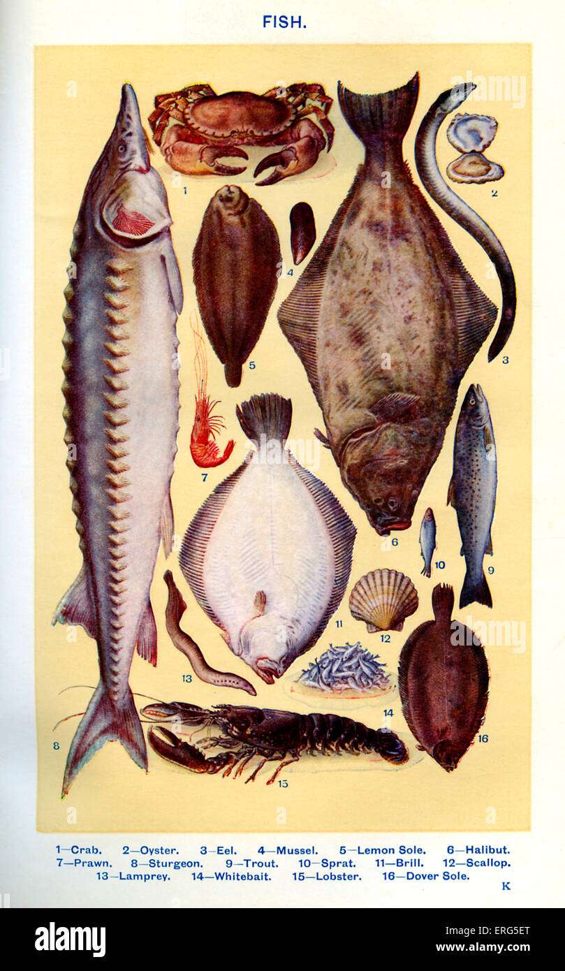 Mrs Beeton 's cookery book - fish (from 1 - 16): Crab, Oyster, Eel ...