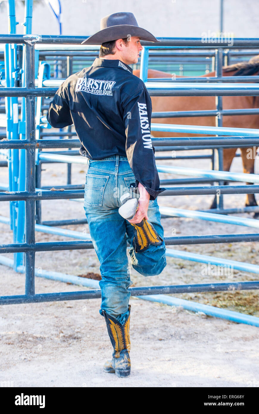 Cowboy preparing for the Helldorado days Rodeo , A professional rodeo ...