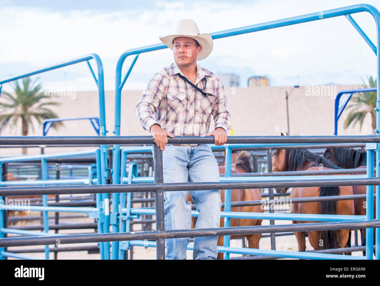 Professional cowboy hi-res stock photography and images - Alamy