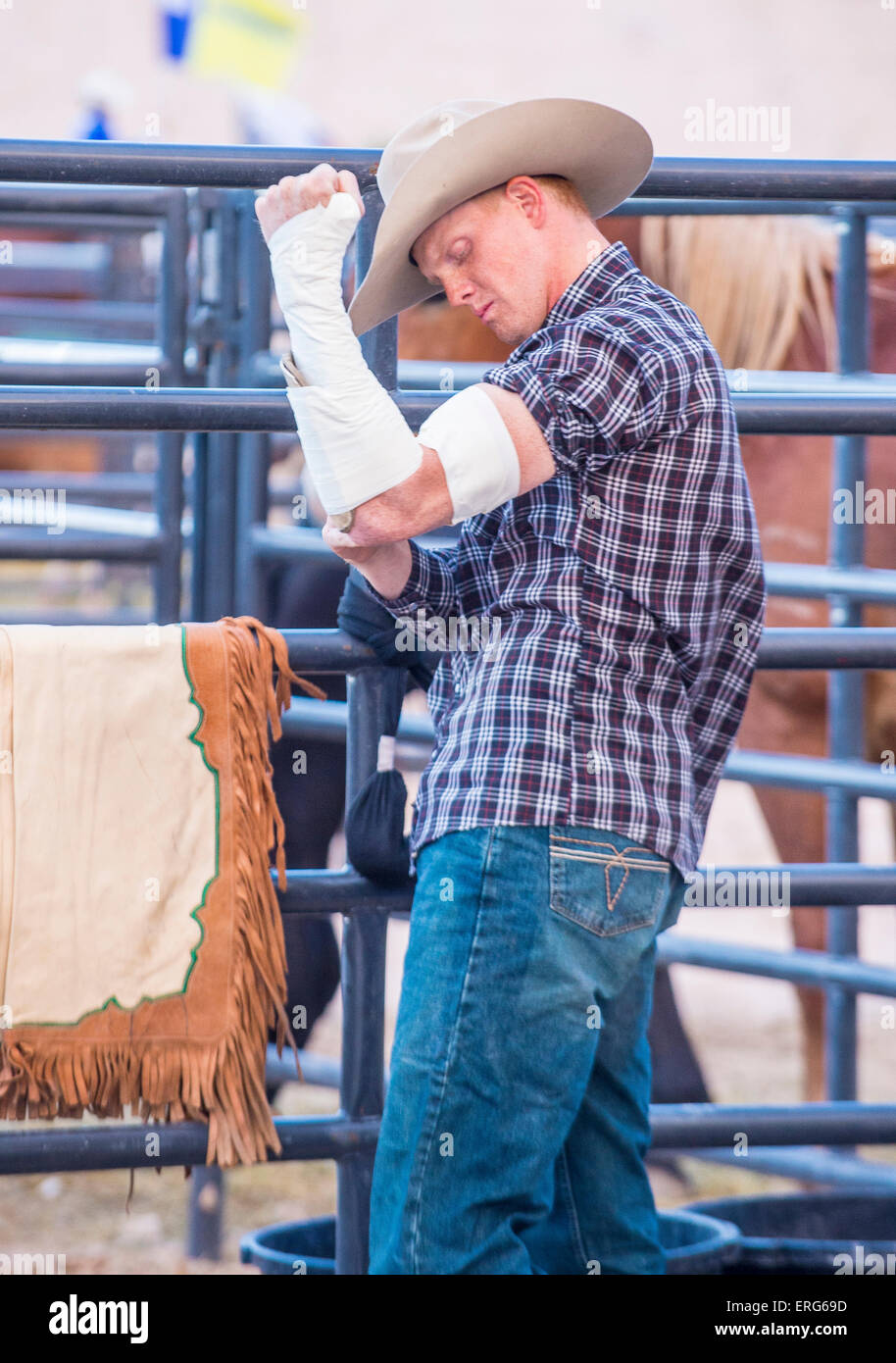 Cowboy preparing for the Helldorado days Rodeo , A professional rodeo ...