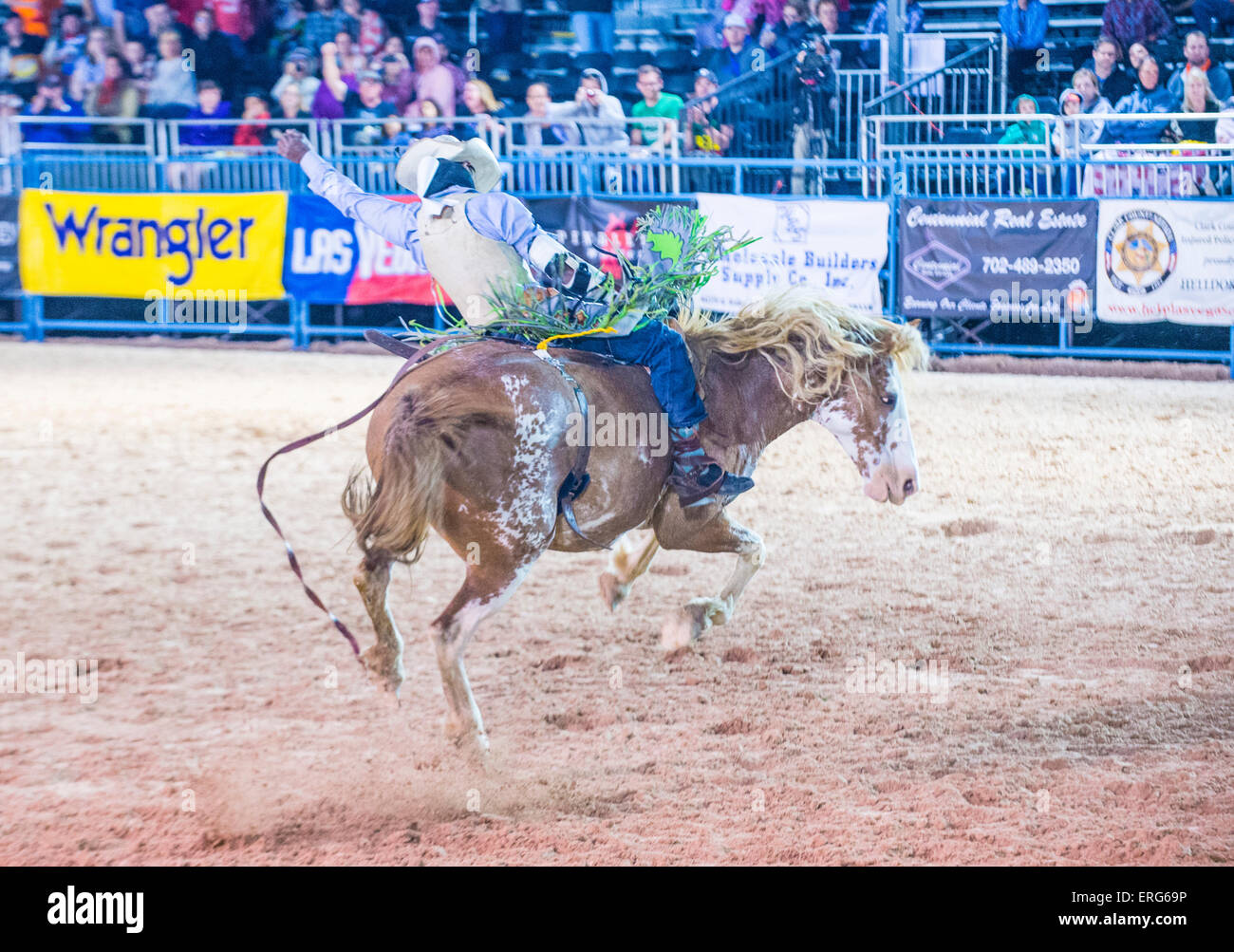Cowboy Participating in a Bucking Horse Competition at the Helldorado ...