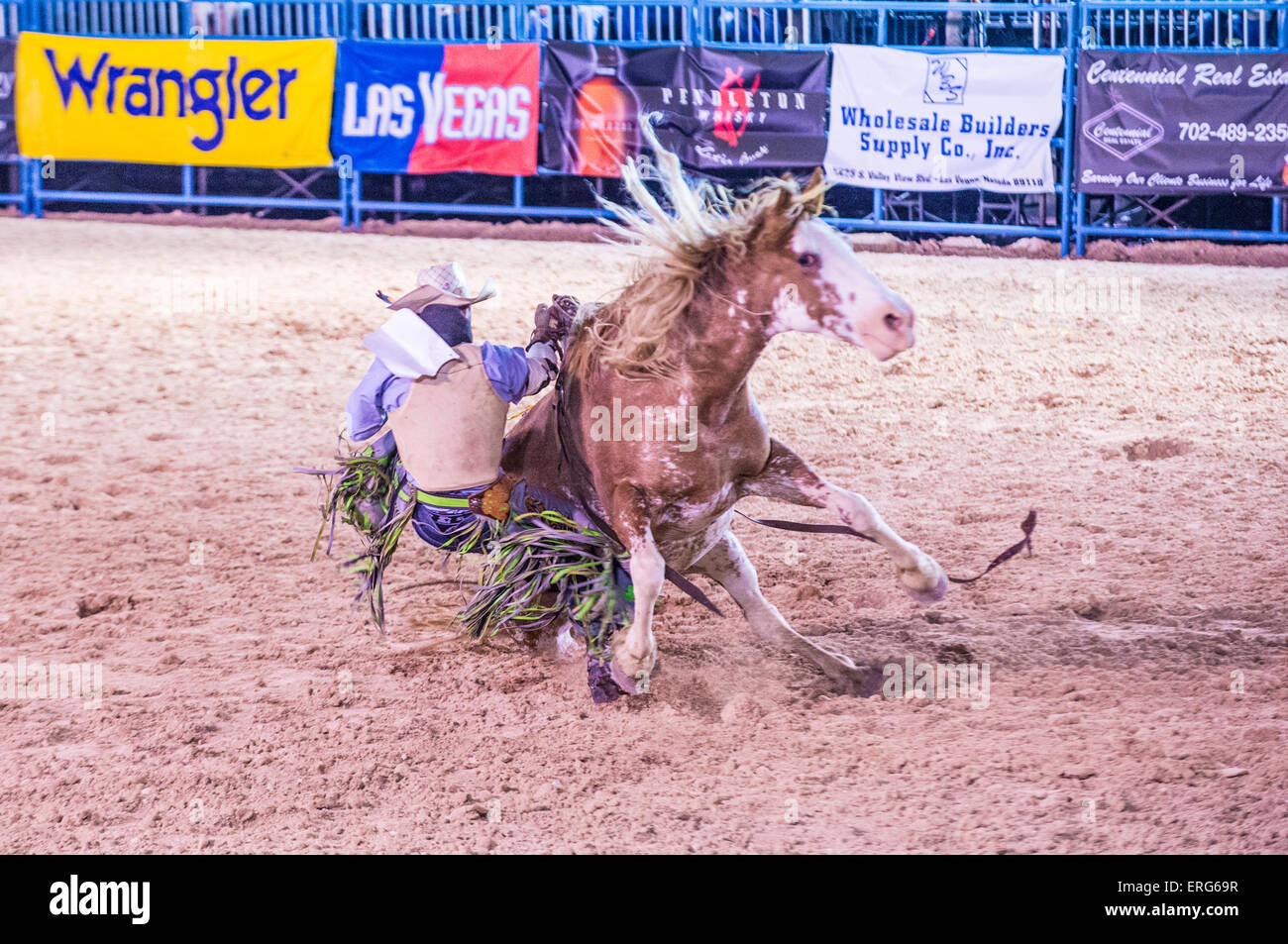 Cowboy Participating in a Bucking Horse Competition at the Helldorado ...
