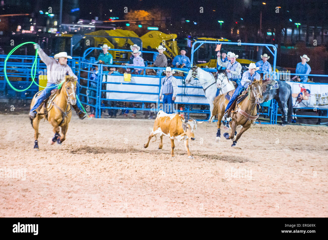 Cowboys Participating in a Calf roping Competition at the Helldorado ...