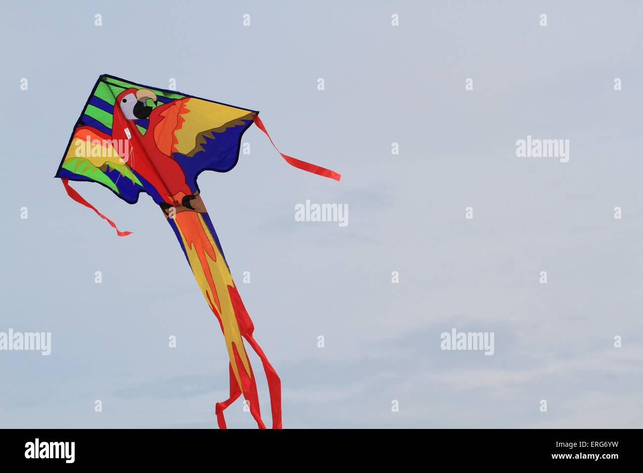 Colorful Kite flying in the Air Stock Photo - Alamy