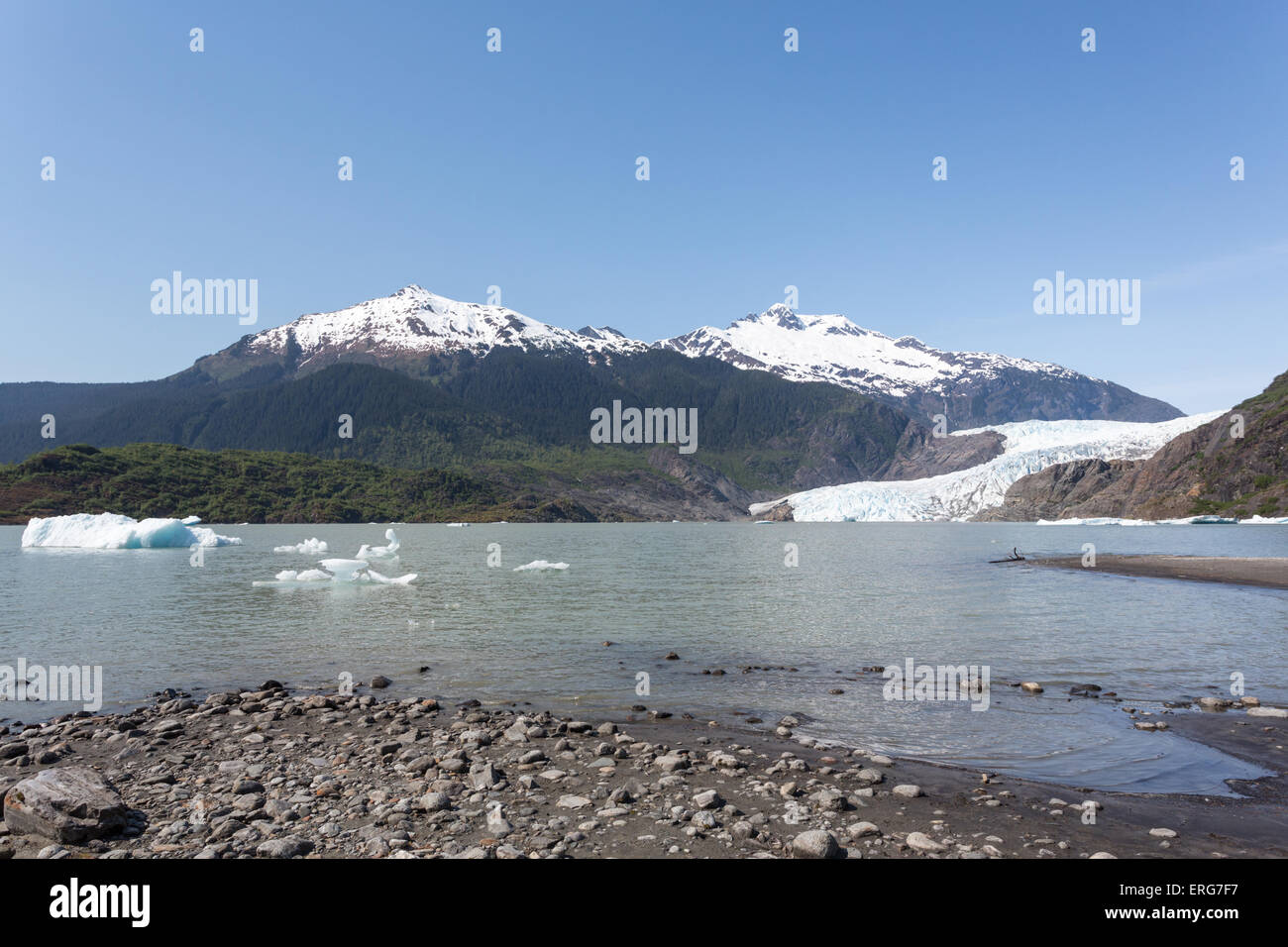 Alaska iceberg mendenhall glacier hi-res stock photography and images ...