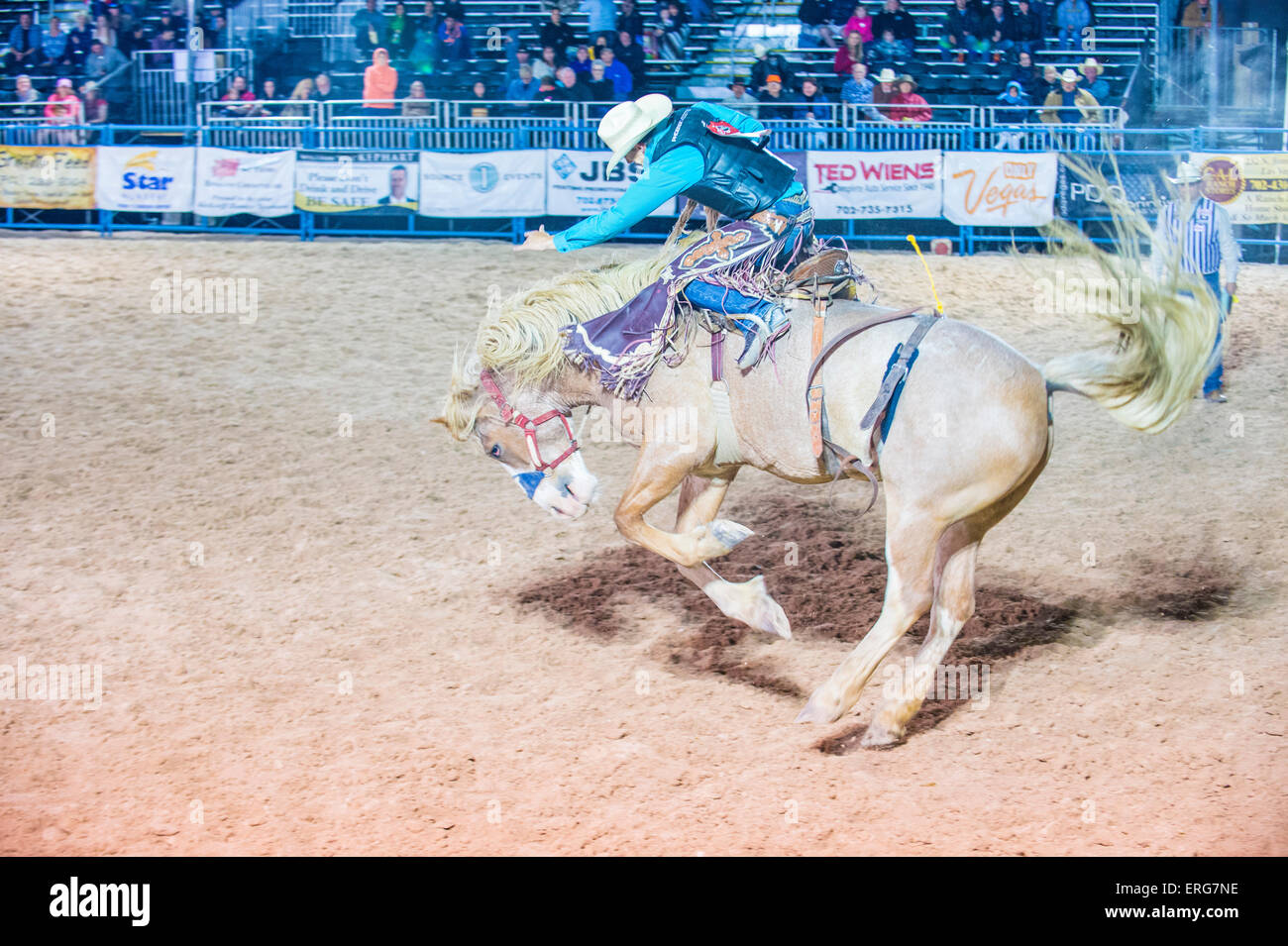Cowboy Participating in a Bucking Horse Competition at the Helldorado ...