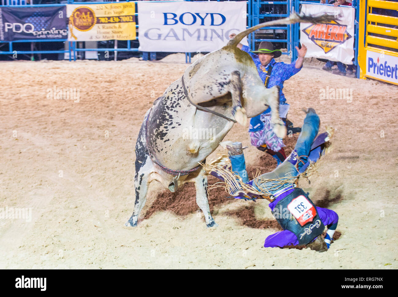 Cowboy Participating in a Bull riding Competition at the Helldorado ...