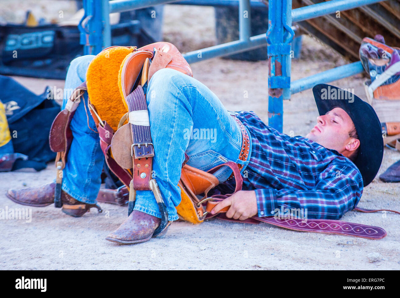 Cowboy preparing for the Helldorado days Rodeo , A professional rodeo ...