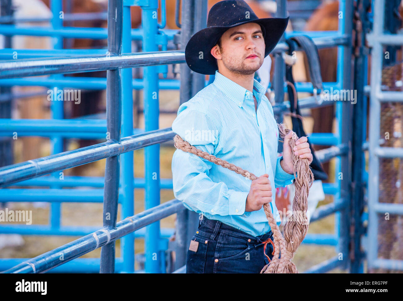 Cowboy preparing for the Helldorado days Rodeo , A professional rodeo ...