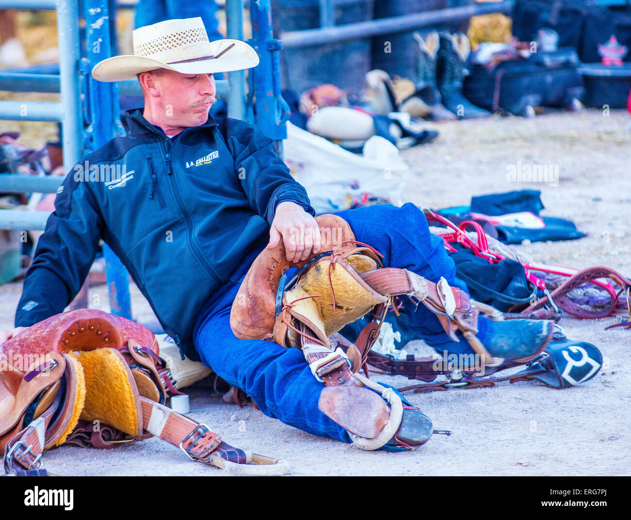 Cowboy preparing for the Helldorado days Rodeo , A professional rodeo ...