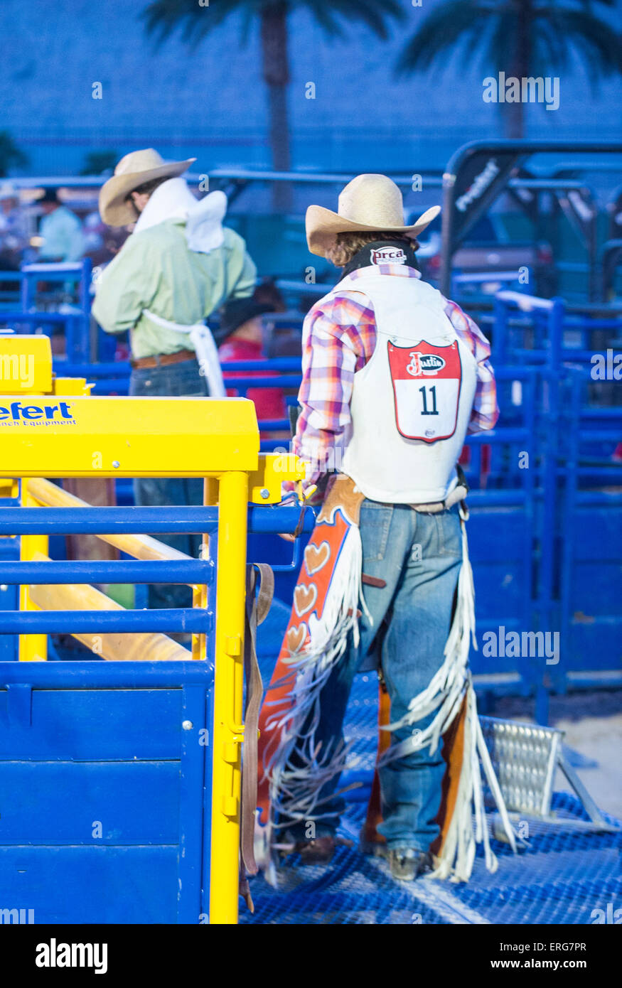 Cowboys preparing for the Helldorado days Rodeo , A professional rodeo ...