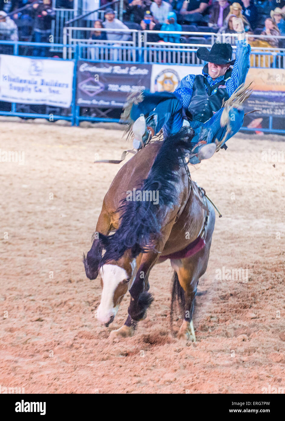 Cowboy Participating in a Bucking Horse Competition at the Helldorado ...
