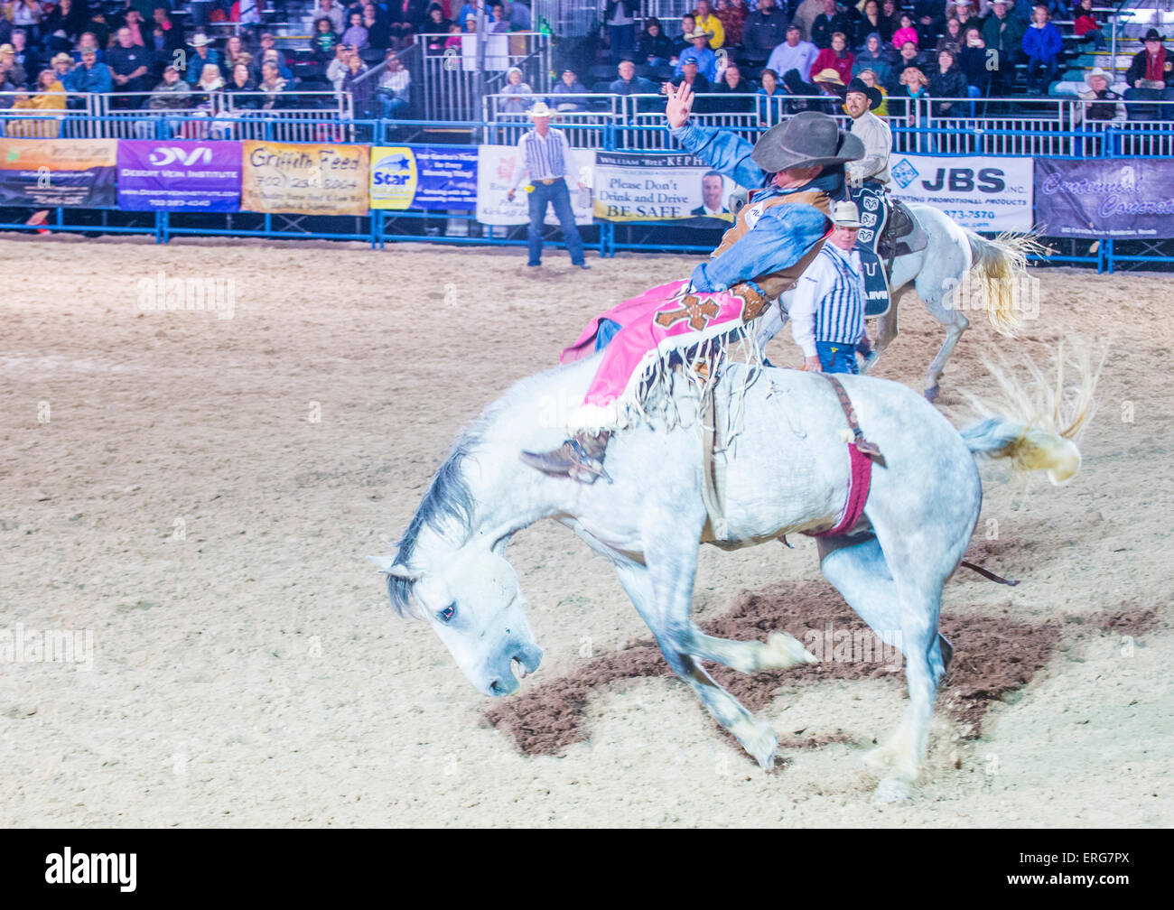 Cowboy Participating in a Bucking Horse Competition at the Helldorado ...