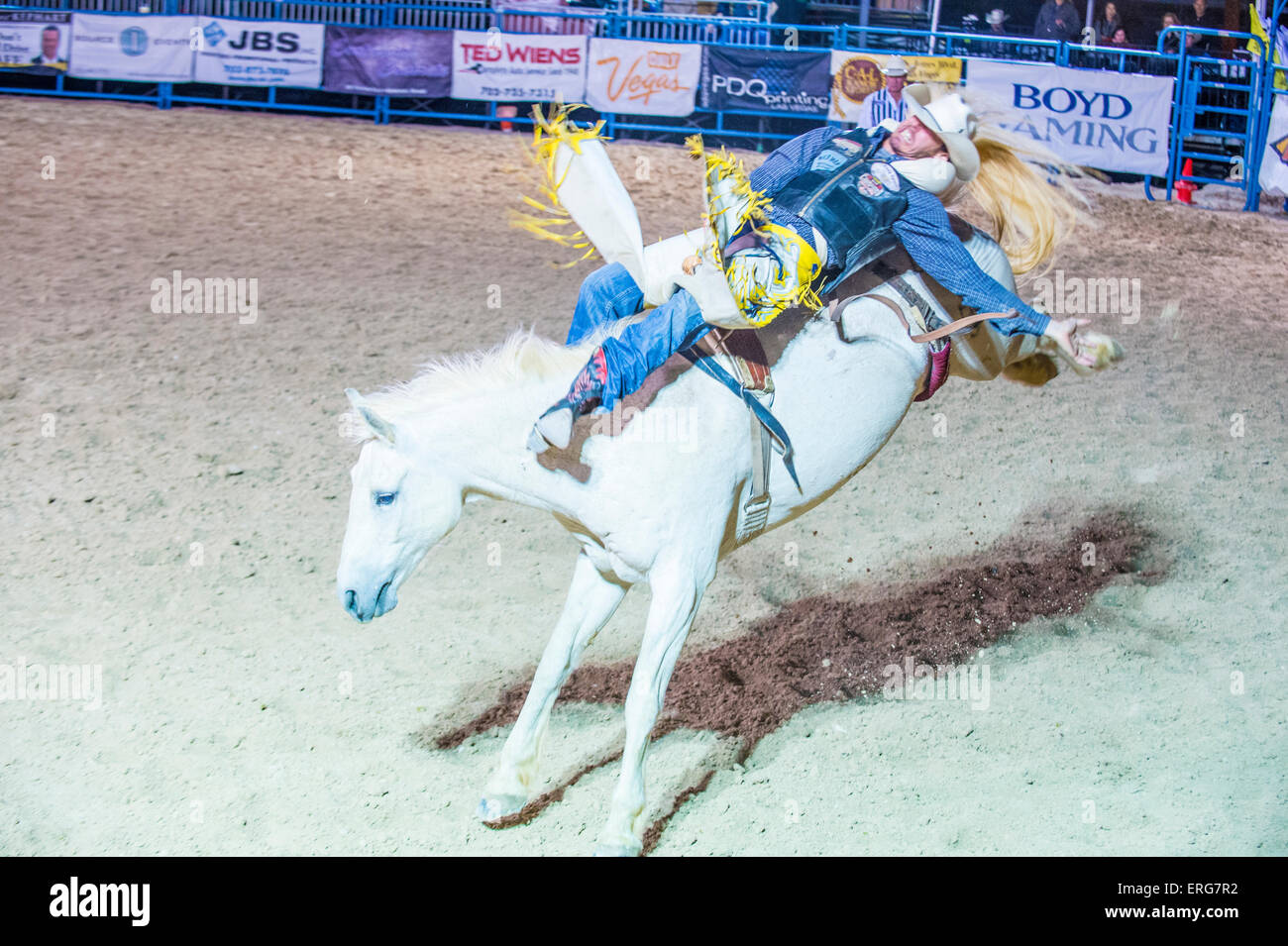 Cowboy Participating in a Bucking Horse Competition at the Helldorado ...
