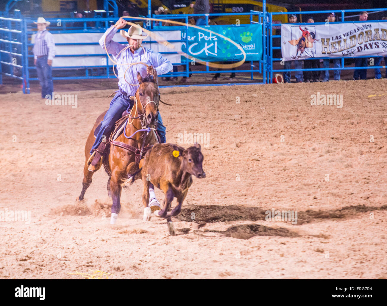 Cowgirl Participating in a Barrel racing competition at the Helldorado ...