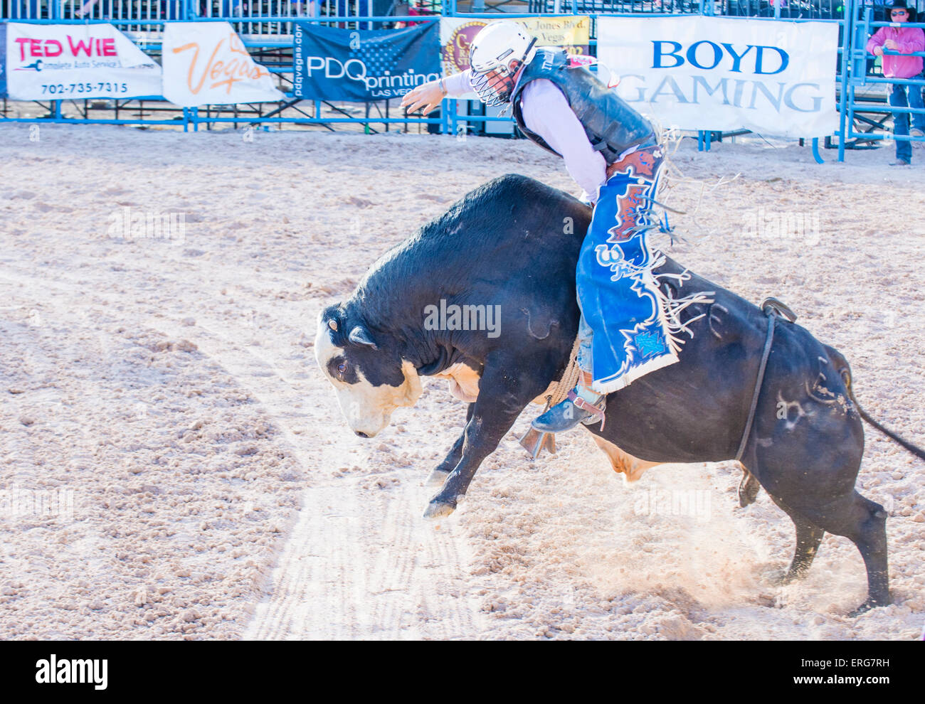 Cowboy Participating in a Bull riding Competition at the Helldorado ...