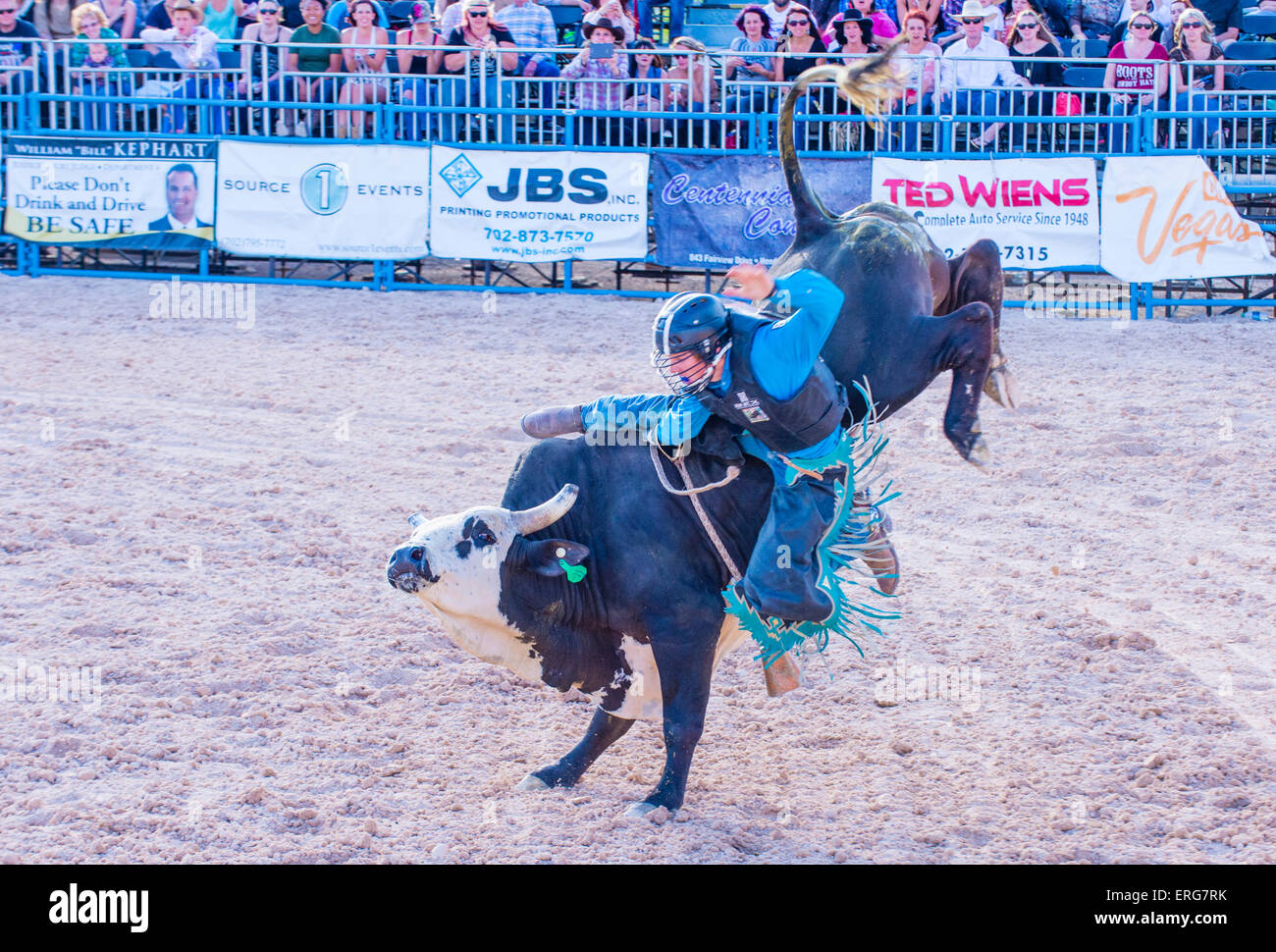 Cowboy Participating in a Bull riding Competition at the Helldorado ...