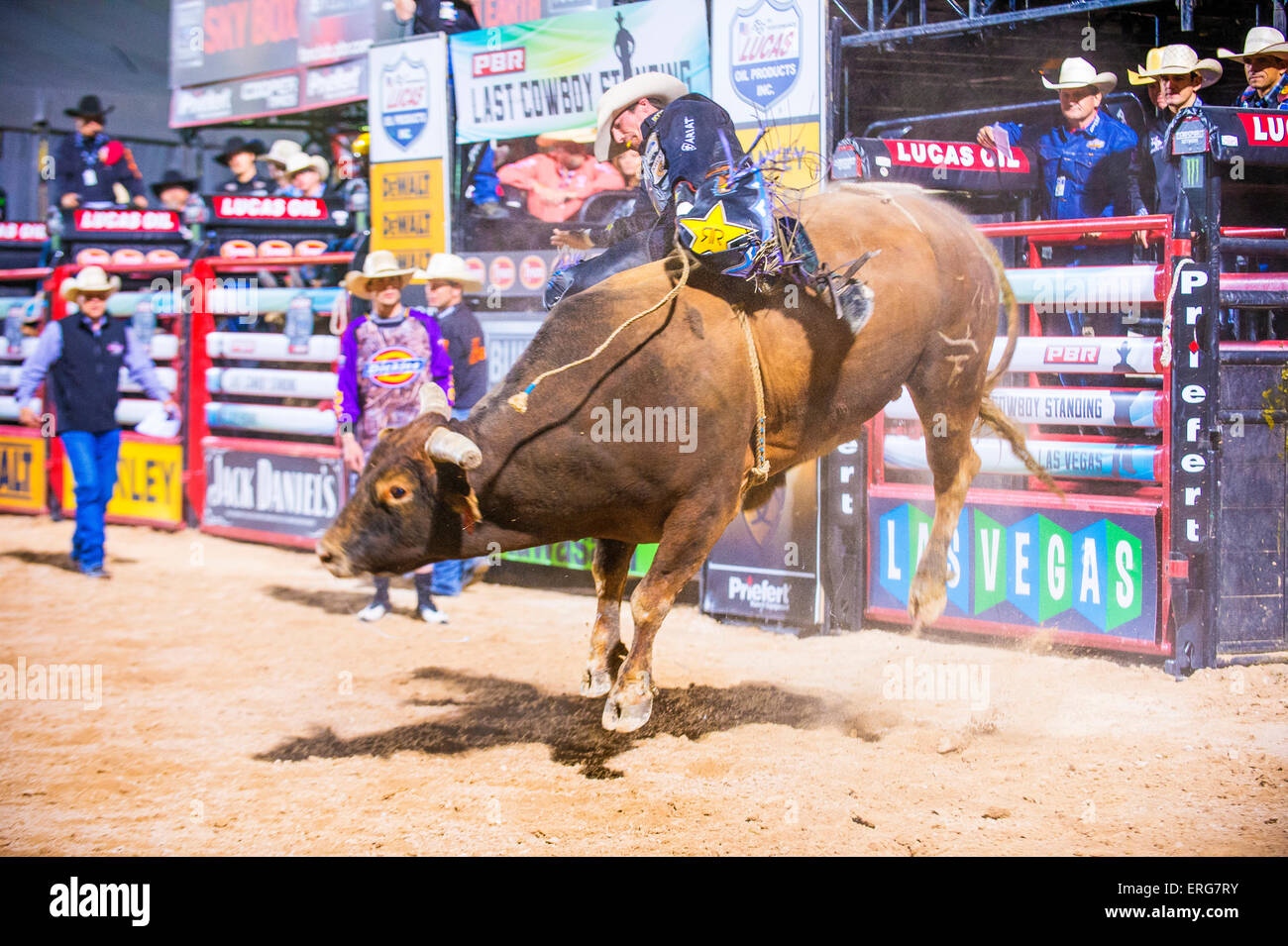 Cowboy Participating in a Bull riding Competition at the Last Cowboy ...
