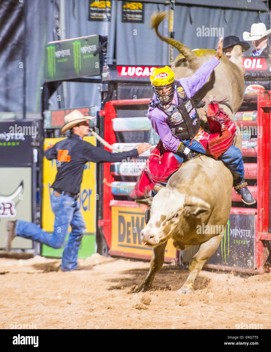 Cowboy Participating in a Bull riding Competition at the Last Cowboy ...