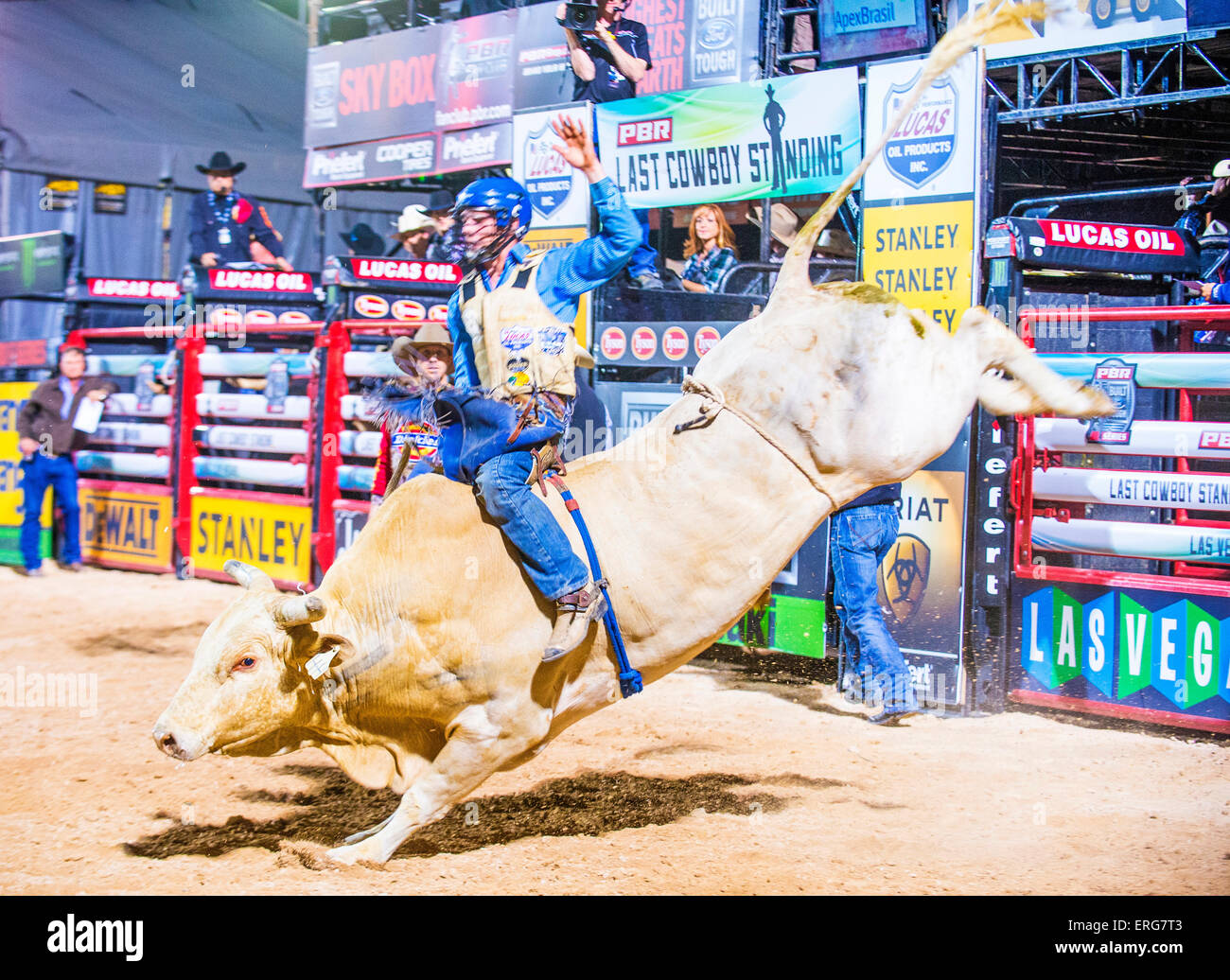 Cowboy Participating in a Bull riding Competition at the Last Cowboy ...